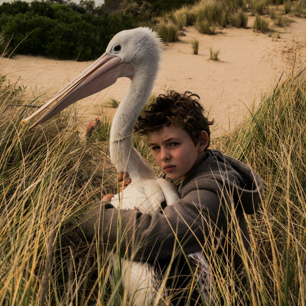 Sony swoops on 'Storm Boy' - IF Magazine